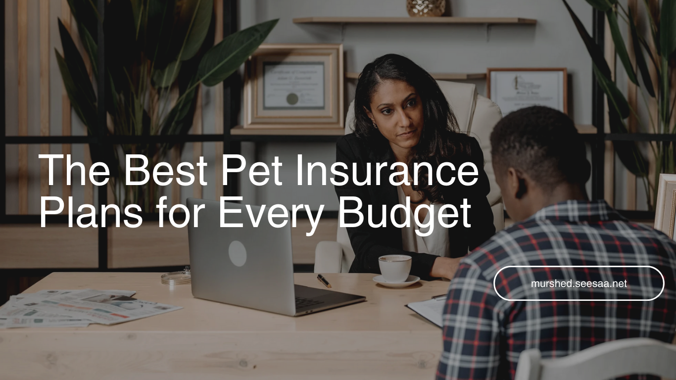 The Best Pet Insurance Plans for Every Budget: Everything You Need to ...